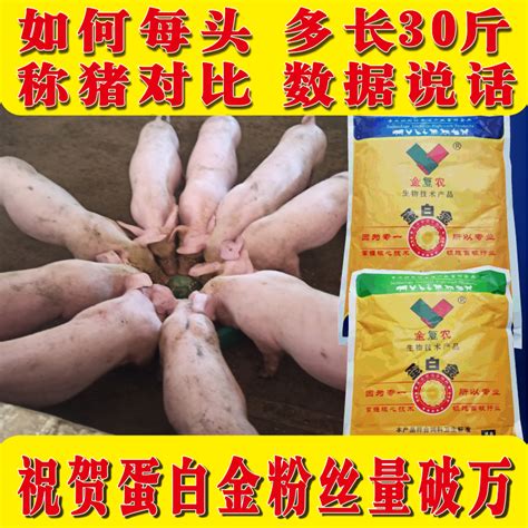 猪饲料添加剂催长促长增重肉猪小猪大猪育肥预混料浓缩料催肥蛋白虎窝淘 猪饲料添加剂催长促长增重肉猪小猪大猪育肥预混料浓缩料催肥蛋白虎窝淘