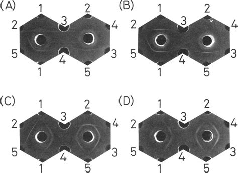 Double Immunodiffusion Test The Following Purified Enzymes 16 Pg Download Scientific Diagram
