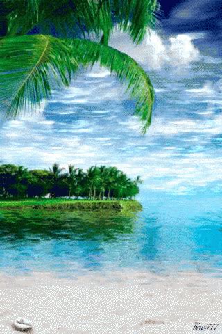 Coconut Animated 
