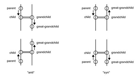 Partial Parity Bond Placement Two Unique Modes Of Ppb Placement Are