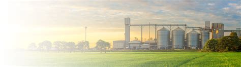 Bindicator Point And Continuous Level Sensors For Bulk Solids