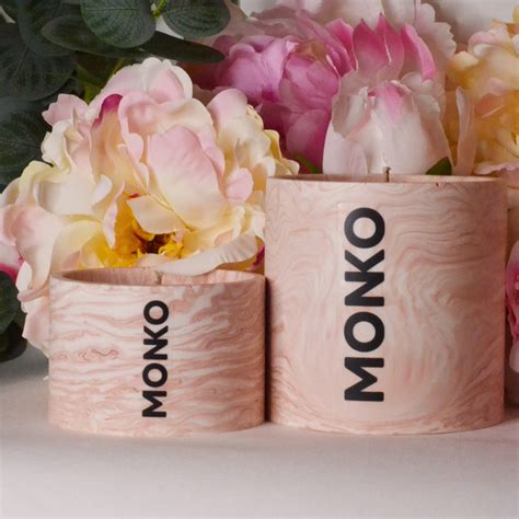 Monko Sur Bien Ou Bien