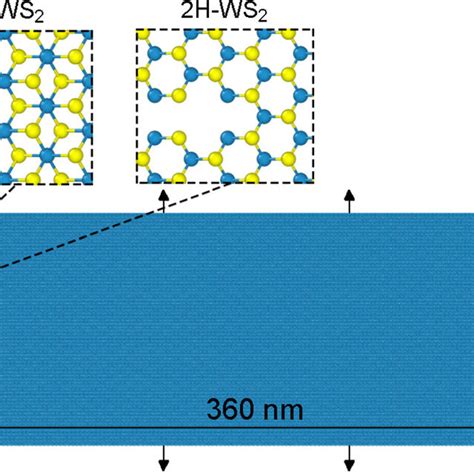Schematic Of The Strip Model Of Ws2 The Model Has An In Plane