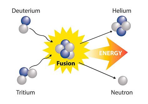 Nuclear Fusion Science Vision