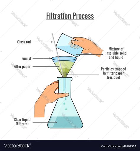 Filtration Process Of Mixture Solid And Liquid Vector Image
