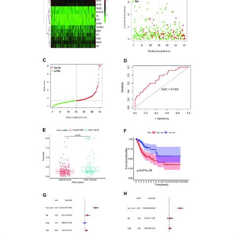 Establishment Of A Risk Scoring System Arisk Score Estimated Of Each