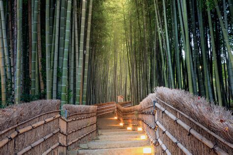 Alternative Bamboo Forests In Japan That Are Not Arashiyama Tokyo