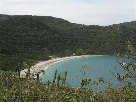 Discover Cousins Beach A Hidden Gem On The East Coast