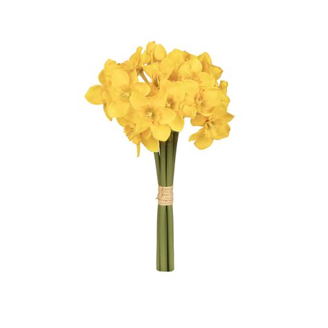 Nergis Demet Kuk Çiçek