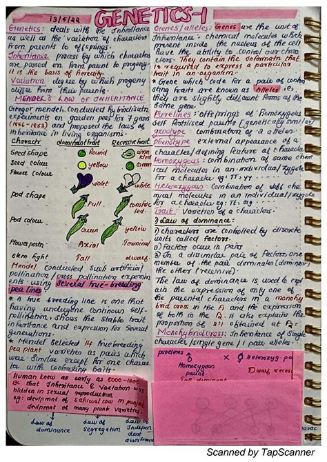 Solution Genetics 1 Neet Prep Handwritten Notes Studypool