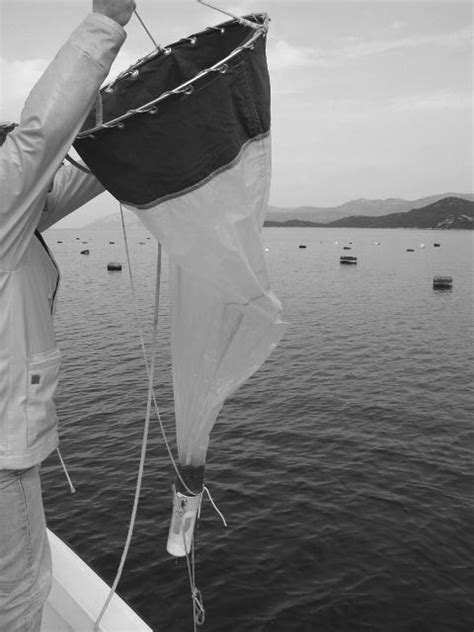 Plankton Net Sampling Download Scientific Diagram