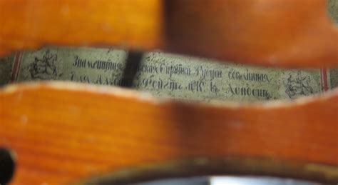 Weird Rounded Violin The Pegbox Maestronet Forums