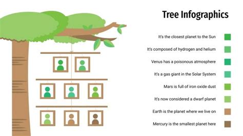 Free Tree Infographics For Google Slides And PowerPoint