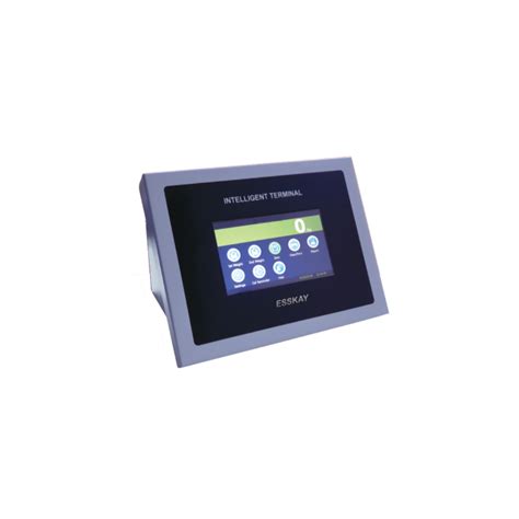 Weighbridge Indicator Esskay Weighing And Automation