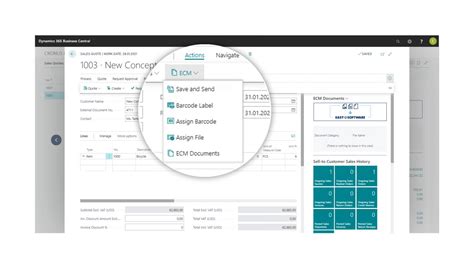 The Microsoft Dynamics Navision Interface Easy Software