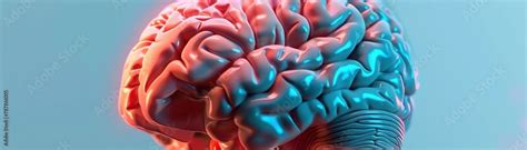 Left Sensorimotor Cortex In Action Highlighted Functionality