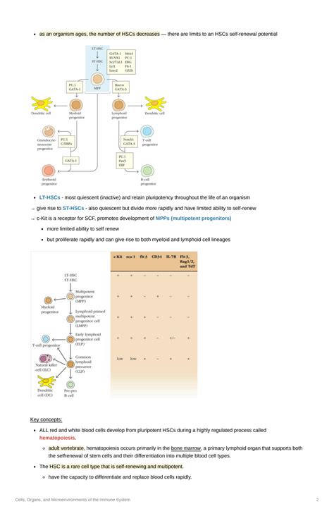 SOLUTION Immunology Notes Cells Organs And Microenvironments Of The Immune System Studypool