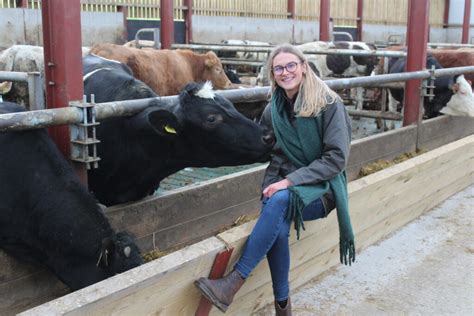 Whats In The Irish Grass Fed Beef Pgi For Beef Farmers Agrilandie