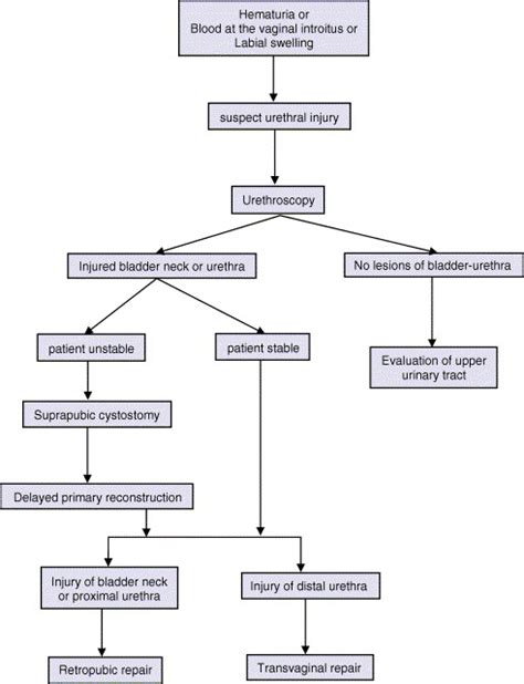 Eau Guidelines On Urological Trauma European Urology