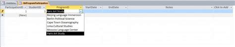 Microsoft Access Tutorial For Beginners Udemy Blog