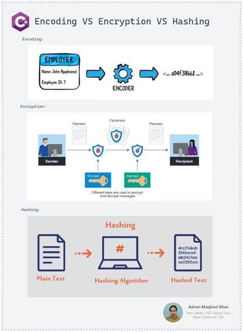 Adnan Maqbool Khan On Linkedin 💡 𝐄𝐧𝐜𝐨𝐝𝐢𝐧𝐠 𝐕𝐒 𝐄𝐧𝐜𝐫𝐲𝐩𝐭𝐢𝐨𝐧 𝐕𝐒 𝐇𝐚𝐬𝐡𝐢𝐧𝐠 1