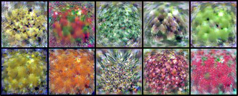 Dataset Distillation By Matching Training Trajectories