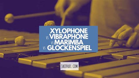 Marimba Vs Glockenspiel At Monica Drolet Blog