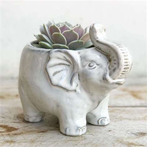 Elephant Pottery Elephant Pots Back In Stock Elefanten