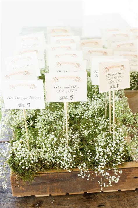 La Sencillez De La Paniculata Mi Boda Diy
