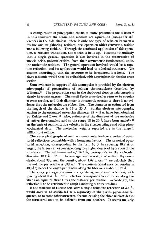 A Proposed Structure For The Nucleic Acids Pmc