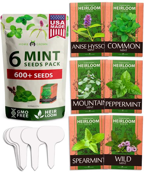 6 Variety Mint Seeds For Planting Outdoors Or Indoors