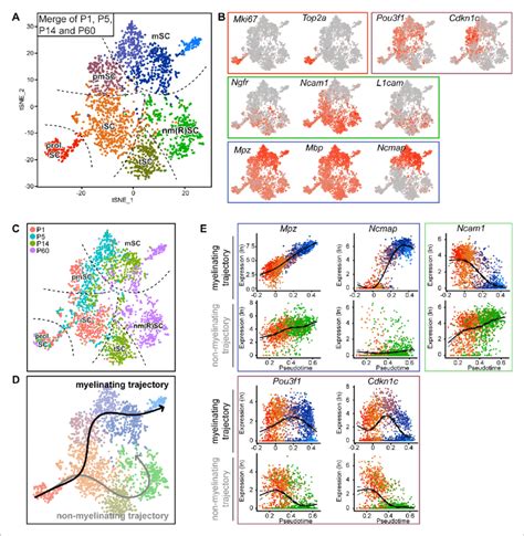 Integrated Rna Profiling With Single Cell Resolution Covering Various Download Scientific