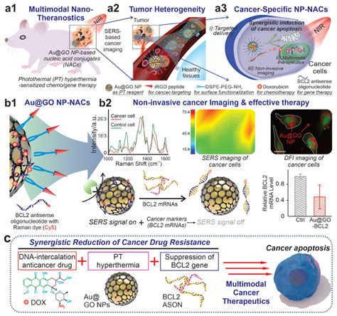 Recent Advances In Synergistic Effect Of Nanoparticles And Its Biomedical Application