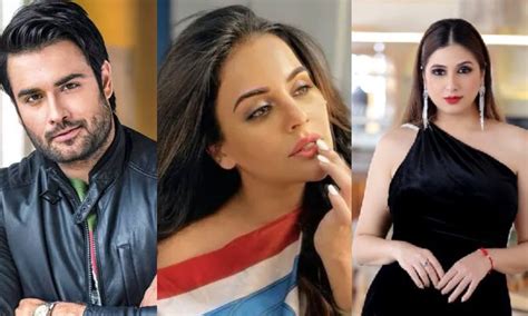 Bigg Boss 18 Sara Afreen Khan Lashes Out At Vivian Dsena Reveals Ex Wife Vaihbiz Dobarjee