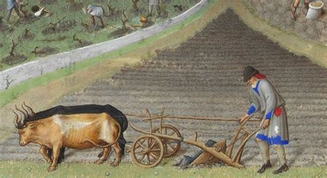 The Farmers Of The Middle Ages