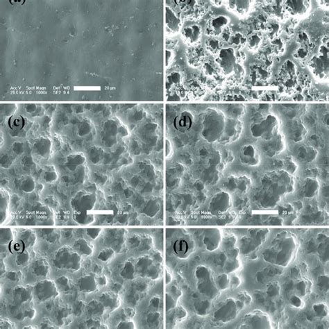 sem images showing the surface morphological features of peek a