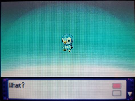 [gen 4] Full Odds Shiny Piplup After Only 641 Eggs Dream Team Quest Member 5 R Shinypokemon
