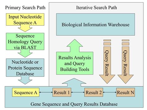 Ppt Gene Sequence And Query Results Database Powerpoint Presentation