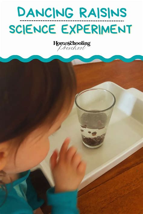 Dancing Raisins Science Experiment Homeschooling Preschool