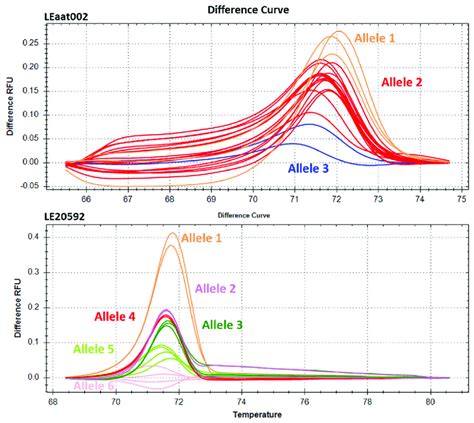 Genotyping Of 21 Tomato Accessions With Markers Showing Low And High
