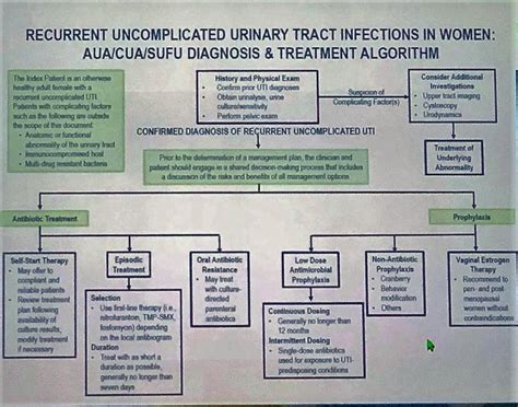 Aua 2019 Second Opinion Cases Ask The Guidelines Recurrent Urinary Tract Infection