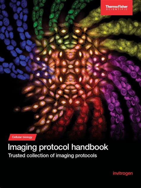 Imaging Protocol Handbook Pdf Immunohistochemistry Staining Imaging Protocol Handbook Pdf Immunohistochemistry Staining