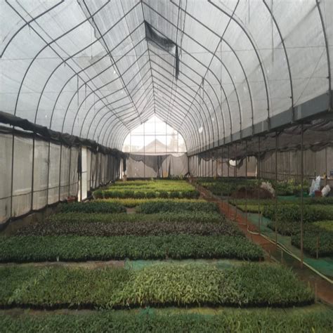 Polyhouse At ₹ 1999square Meter Shade Net In Sangli Id 2854748203491