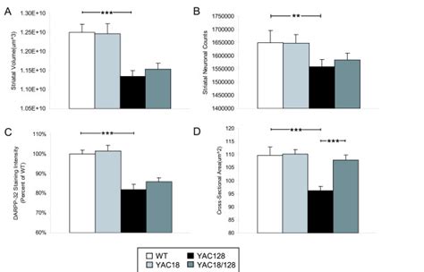 Over Expression Of Wild Type Htt Results In Mild Improvements In Download Scientific Diagram