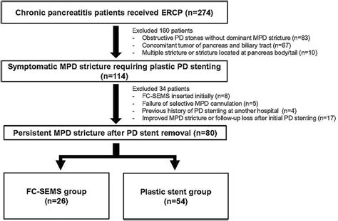 Flowchart For The Study Population Abbreviation Ercp Endoscopic