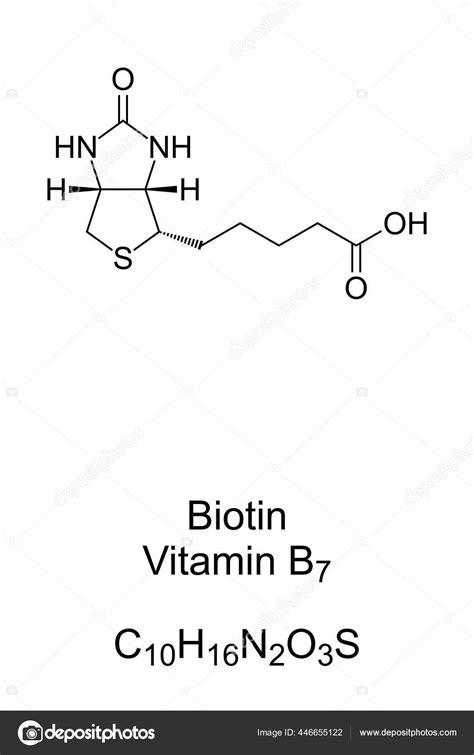 Biotin Vitamin Chemical Formula Skeletal Structure Involved Many