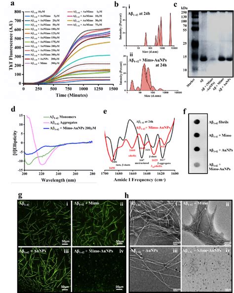Suppression Of Aβ 1 42 Aggregation In Presence Of Mimo Aunps A Download Scientific Diagram