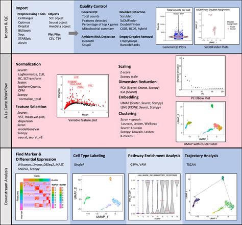 Interactive Analysis Of Single Cell Data Using Flexible Workflows With Sctk Patterns