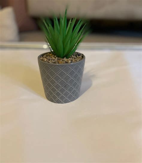 Fake Plant In A Base Of Immovable Mini Rocks Vinted