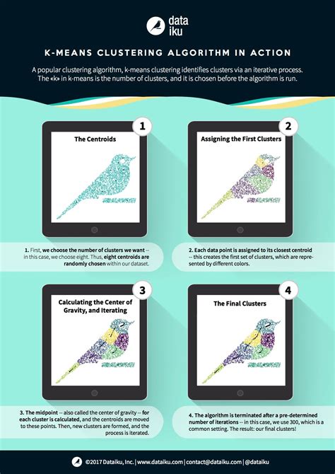 Watch A Clustering Algorithm Work In The Wild